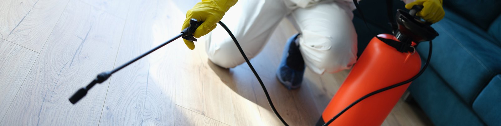 Reviews - ampestsolutions